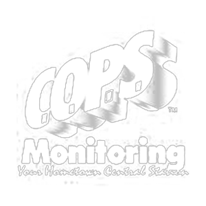 Services: Cybersecurity - The Navicon Group | Transforming Technology